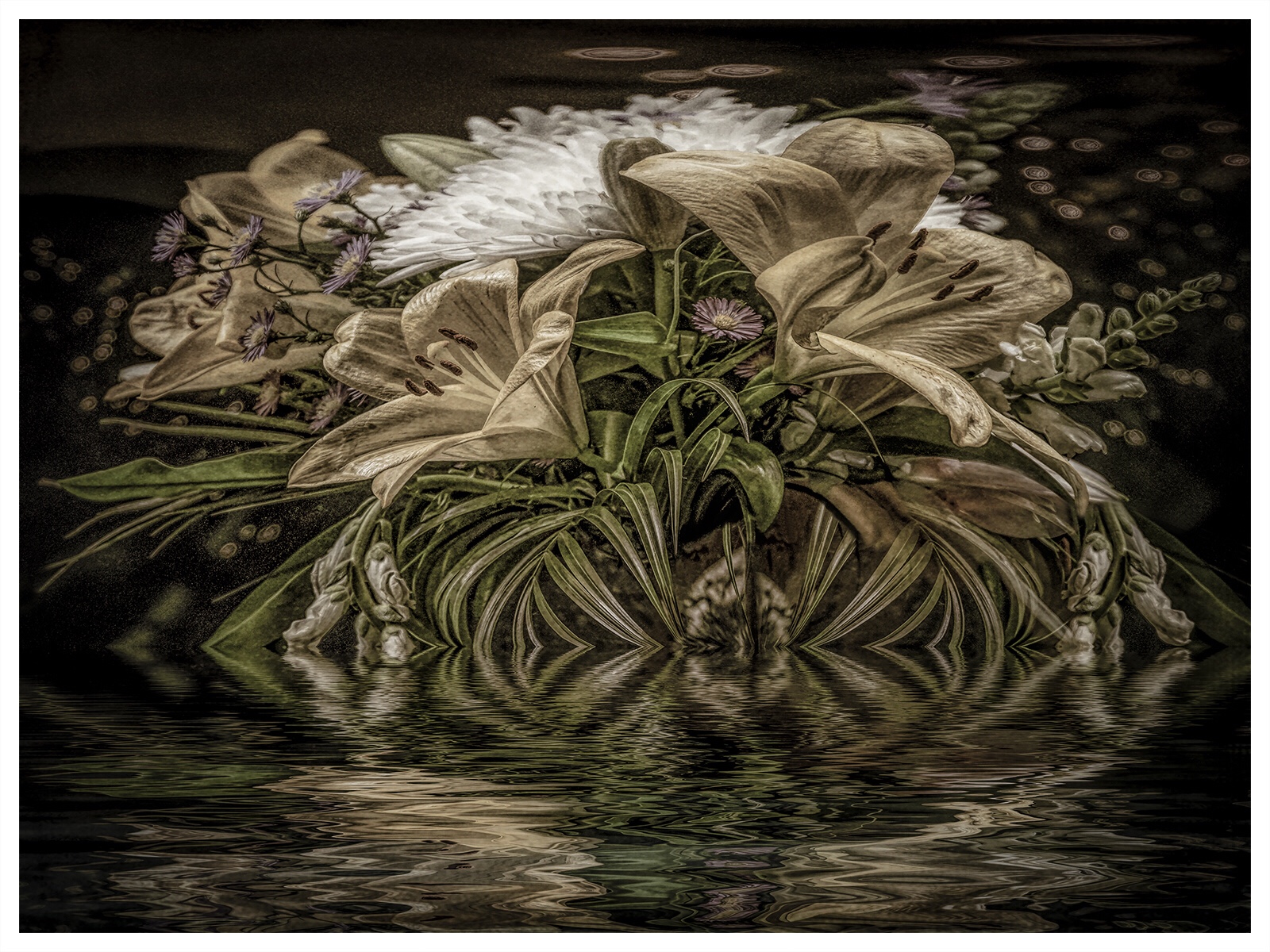 Lilly-pool – Mixed Reality, UK