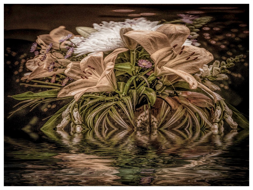 Lilly-pool – Mixed Reality, UK